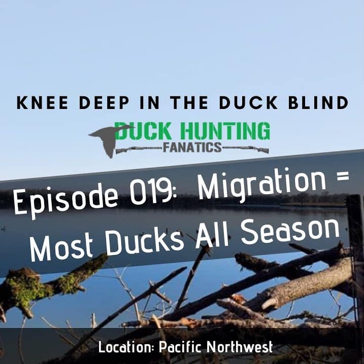 Top 3 Duck Hunting Fanatics Podcasts | Bad Rhino